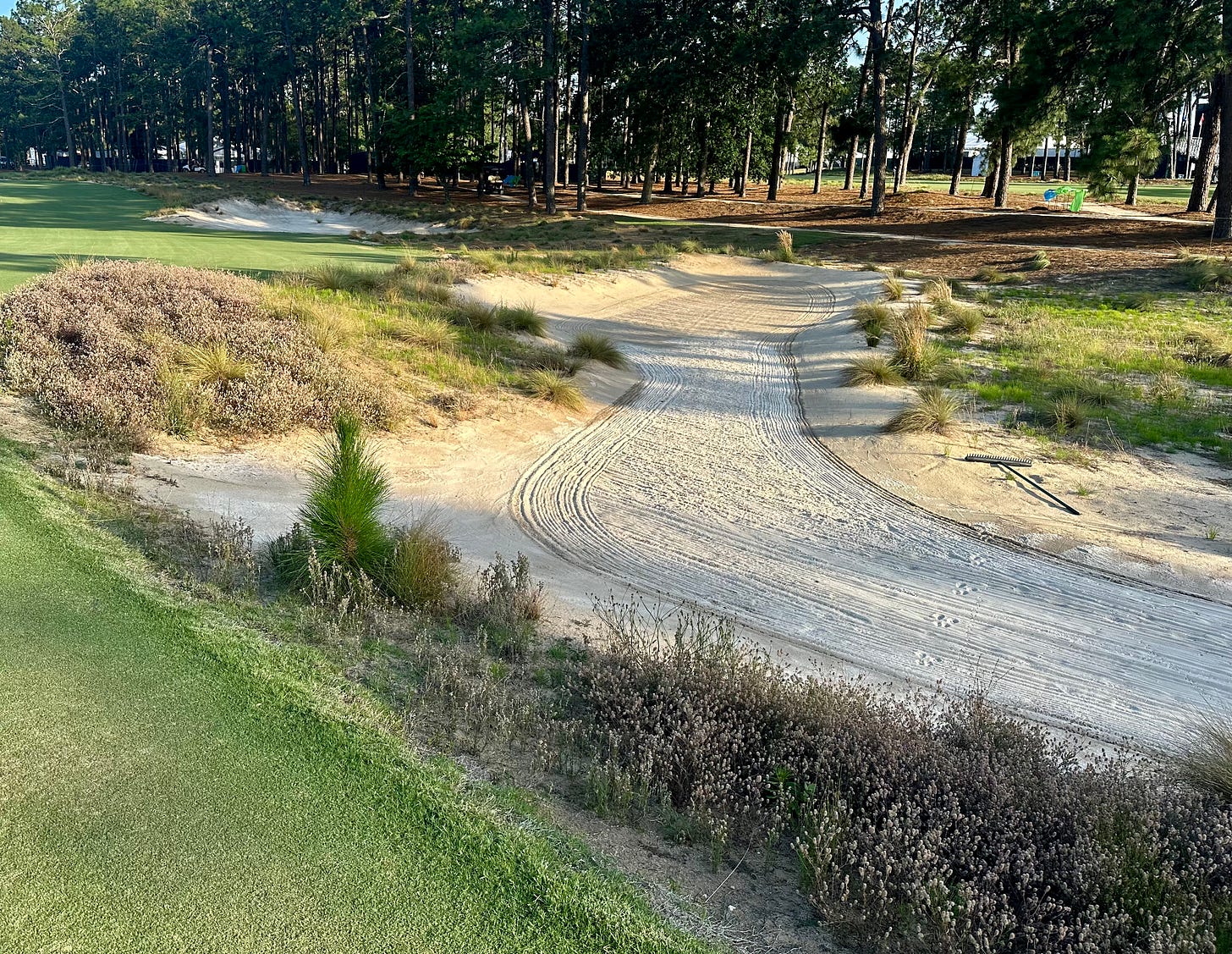 pinehurst stableford