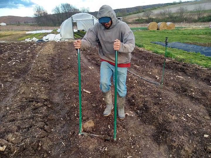 Start your no-till garden: the 3 techniques I wish I was taught when I ...