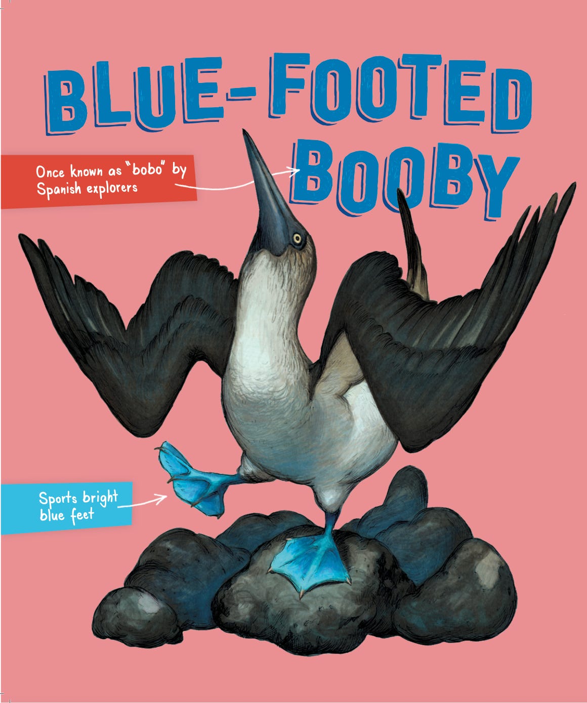 What If You Were...?: Which Ridiculous Rascal Are You?