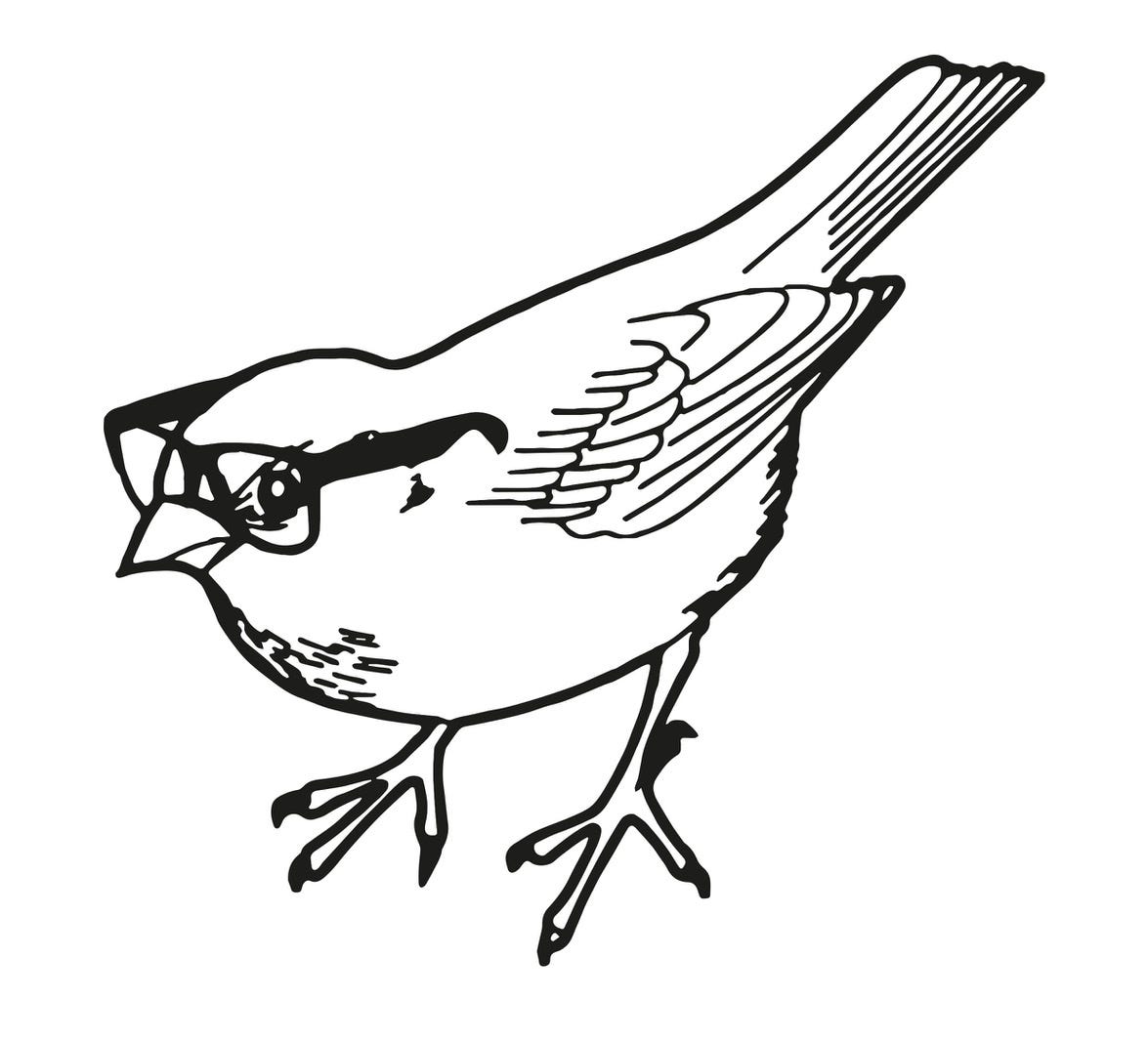 Mary Harrington | Substack