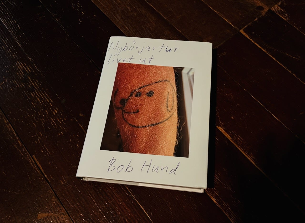Bob Hund For Beginners - Lloyd Cole - Writing, etc