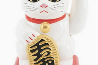 The Creative Pragmatist | Amy smilovic | Substack