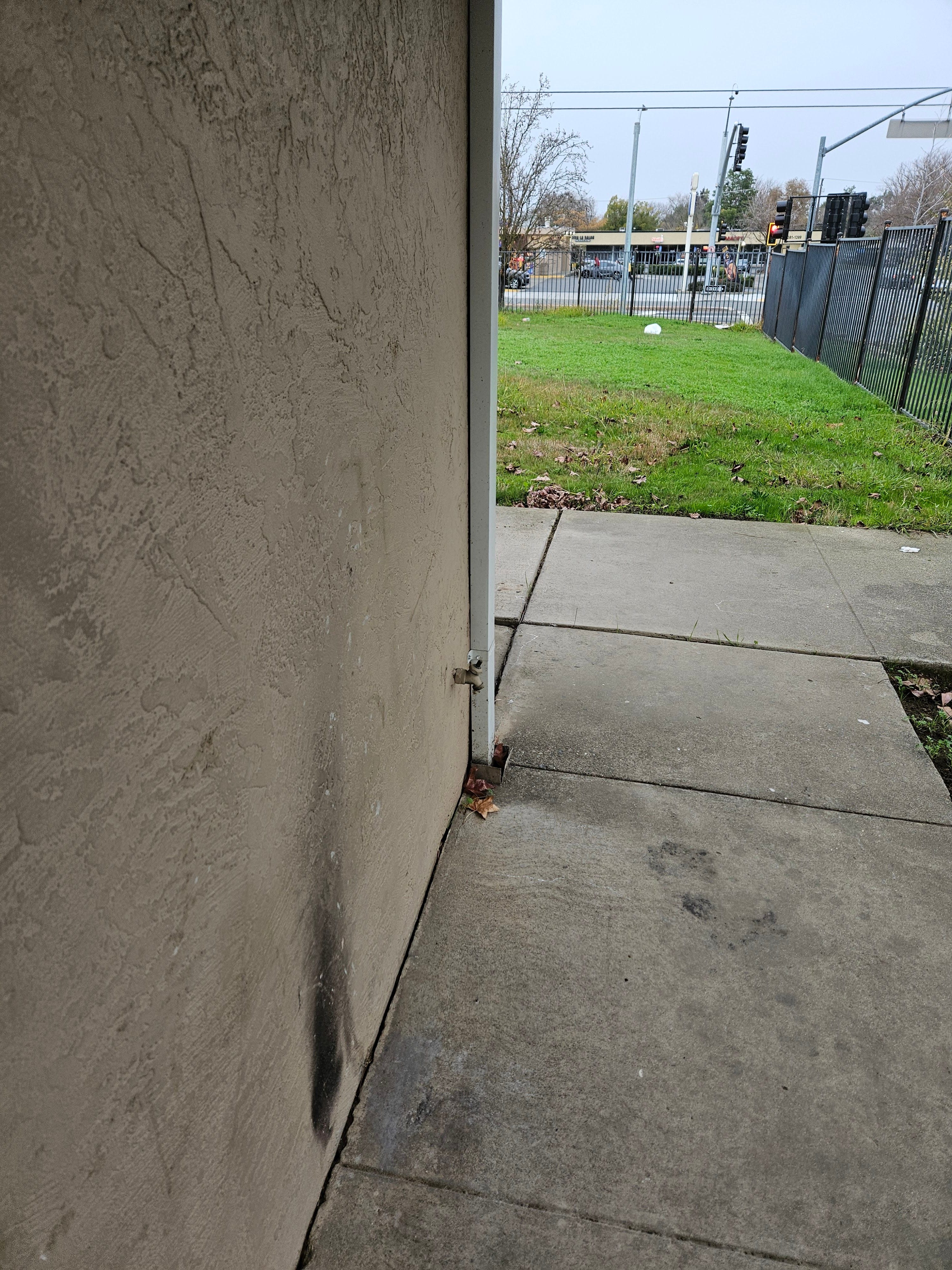 Please Interpret My Dream - Paul VanderKlay