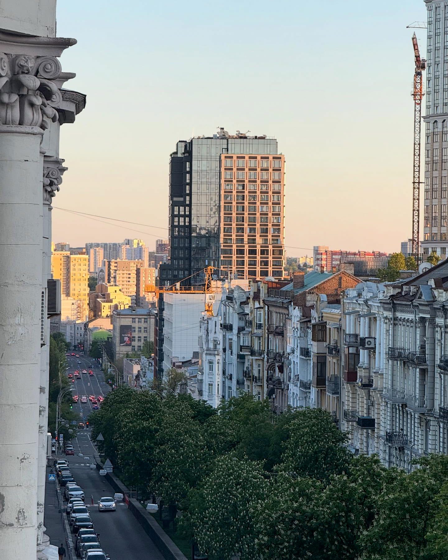 How chestnut trees became a symbol of Kyiv