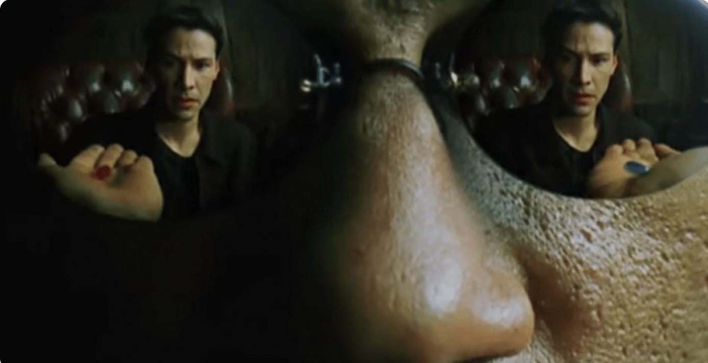 The Matrix: Choosing the Red Pill, Living Outside the Illusion