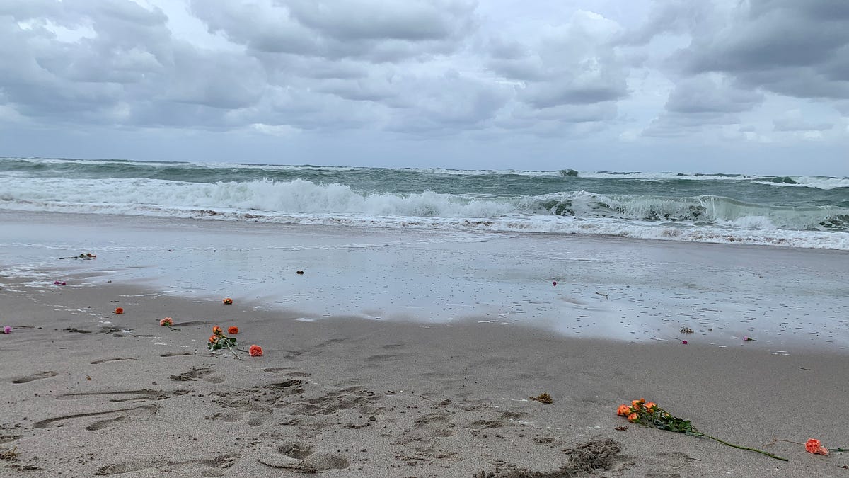 A Letter to Grief - by Rachel Fiorello