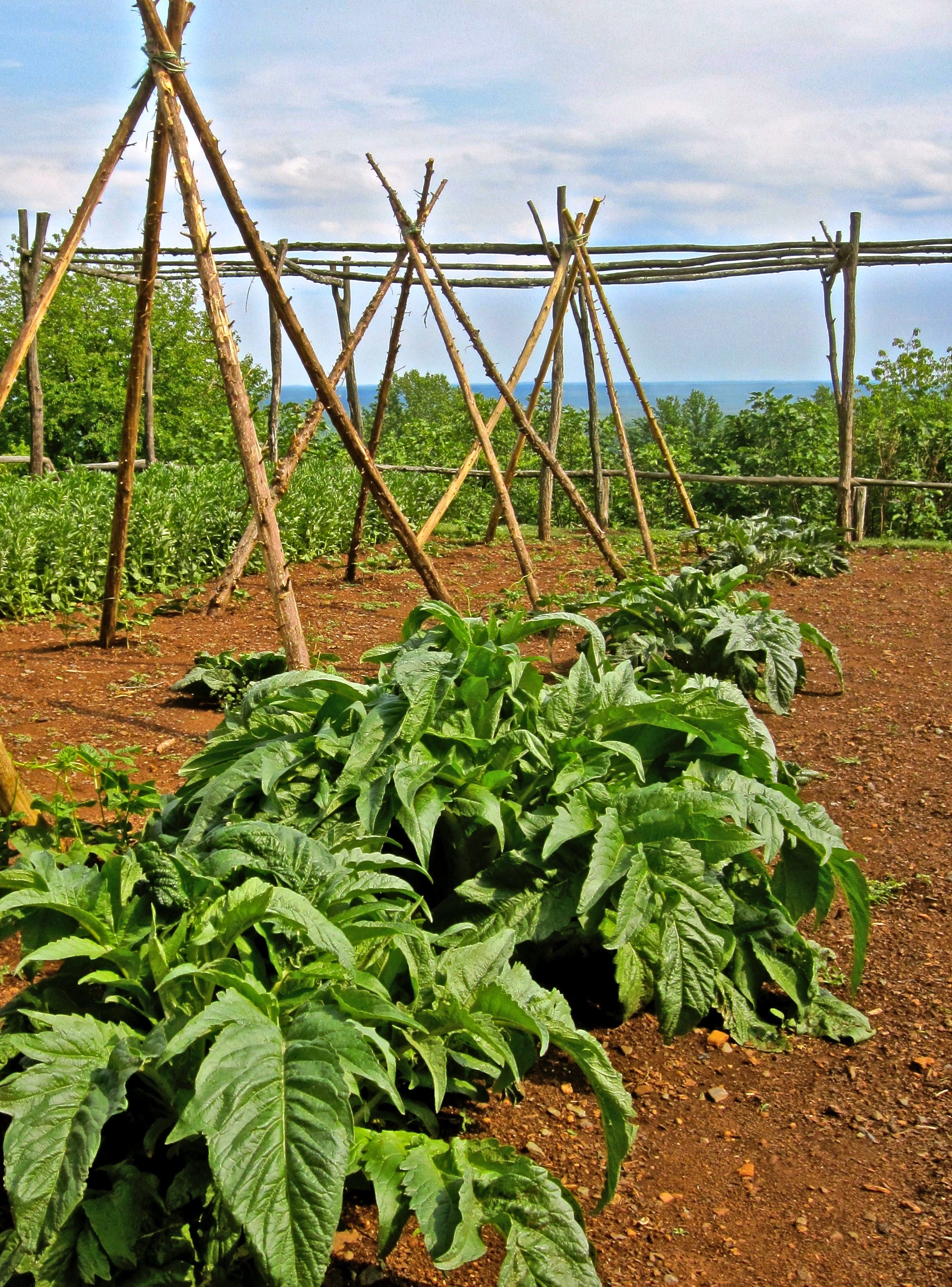 Our dinner with Thomas Jefferson (1823)