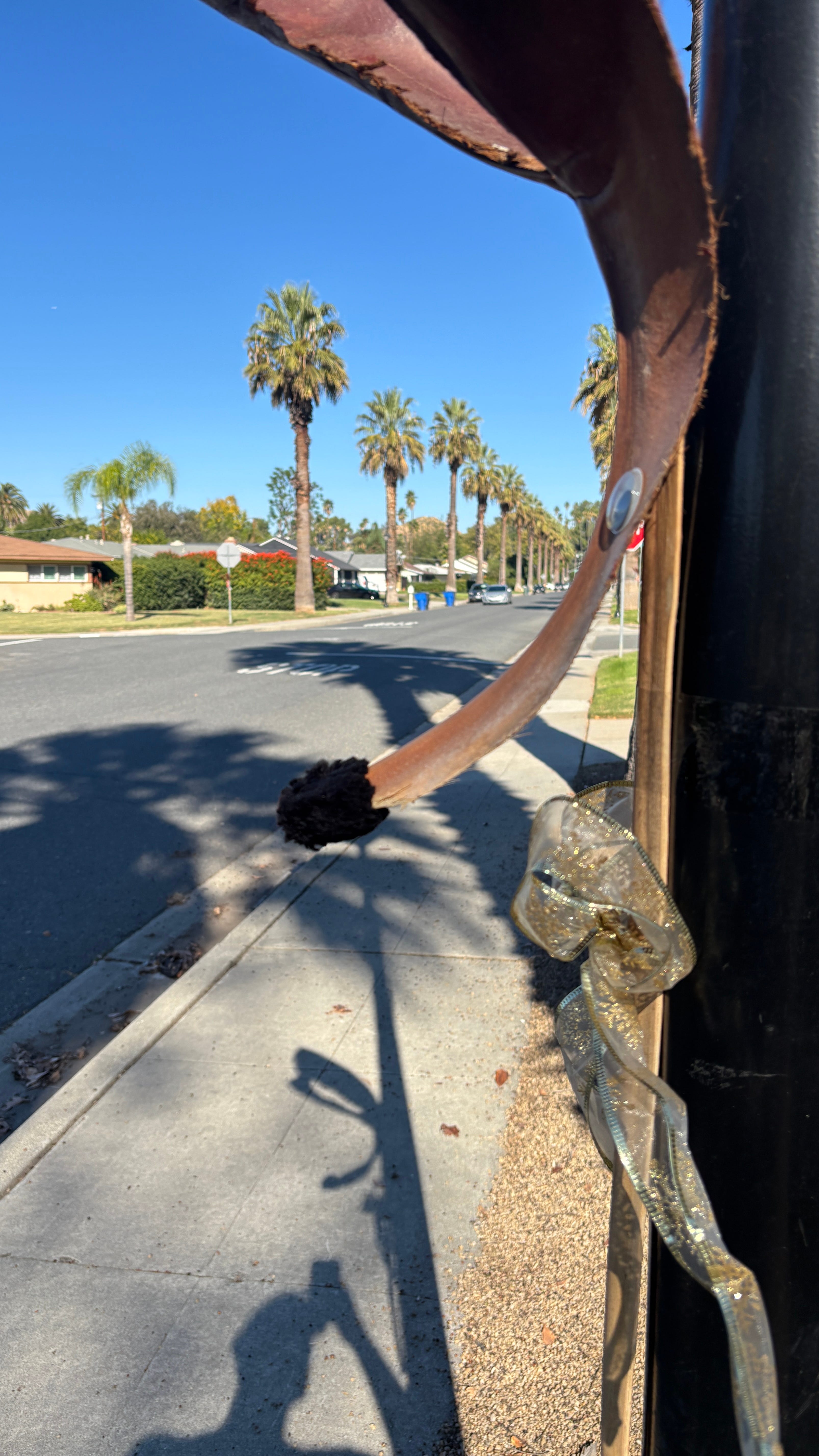 Spread a Little Joy - by Randal Murphey - Scribbler