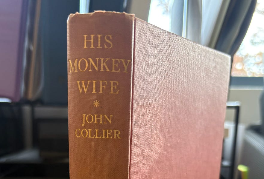 john collier writer