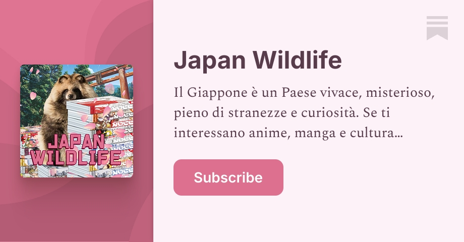Japan Wildlife | Wildlife Culture Collective | Substack
