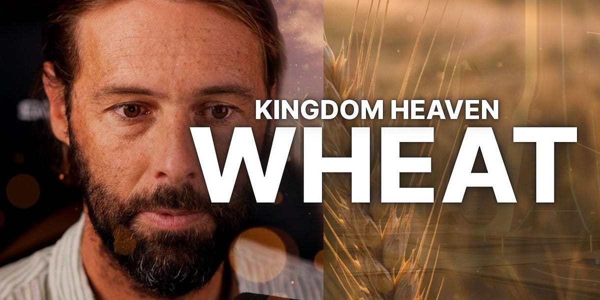 Wheat and Weeds - by Jonathan McCallum