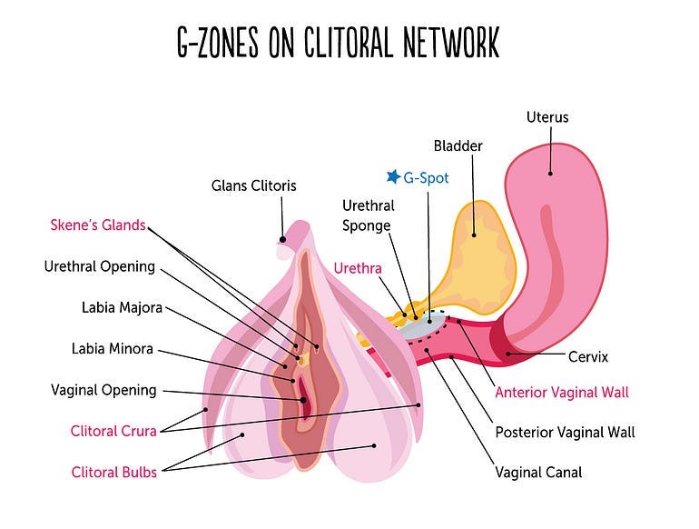 6 G-Spot Myths Women Wish Men Would Stop Believing