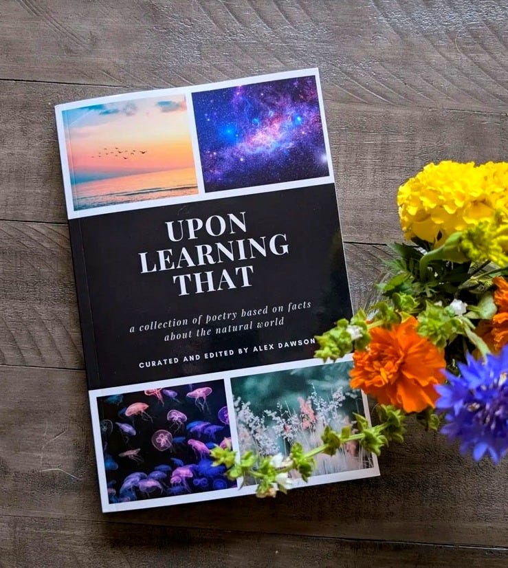 The Making of a Poetry Anthology: Behind the Scenes of "Upon Learning That"