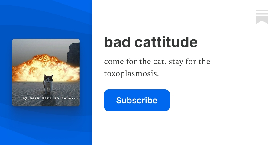bad cattitude | el gato malo | Substack