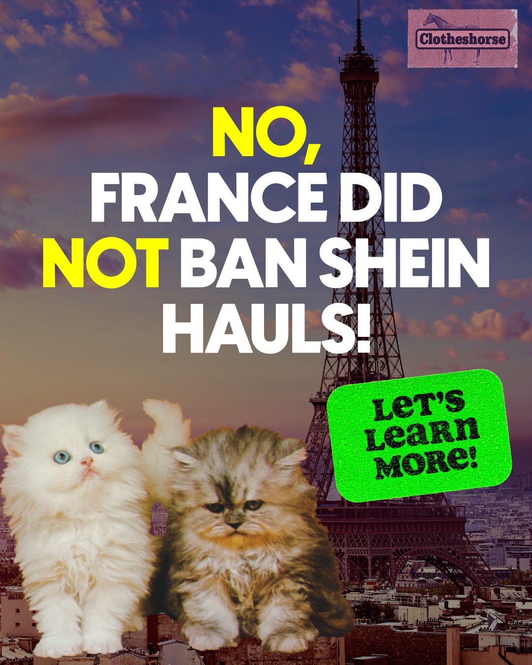 No, France did NOT ban SHEIN hauls!