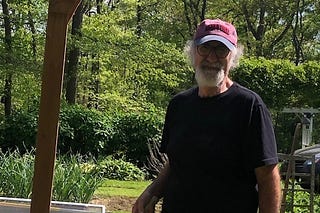 Calul Journal | Substack