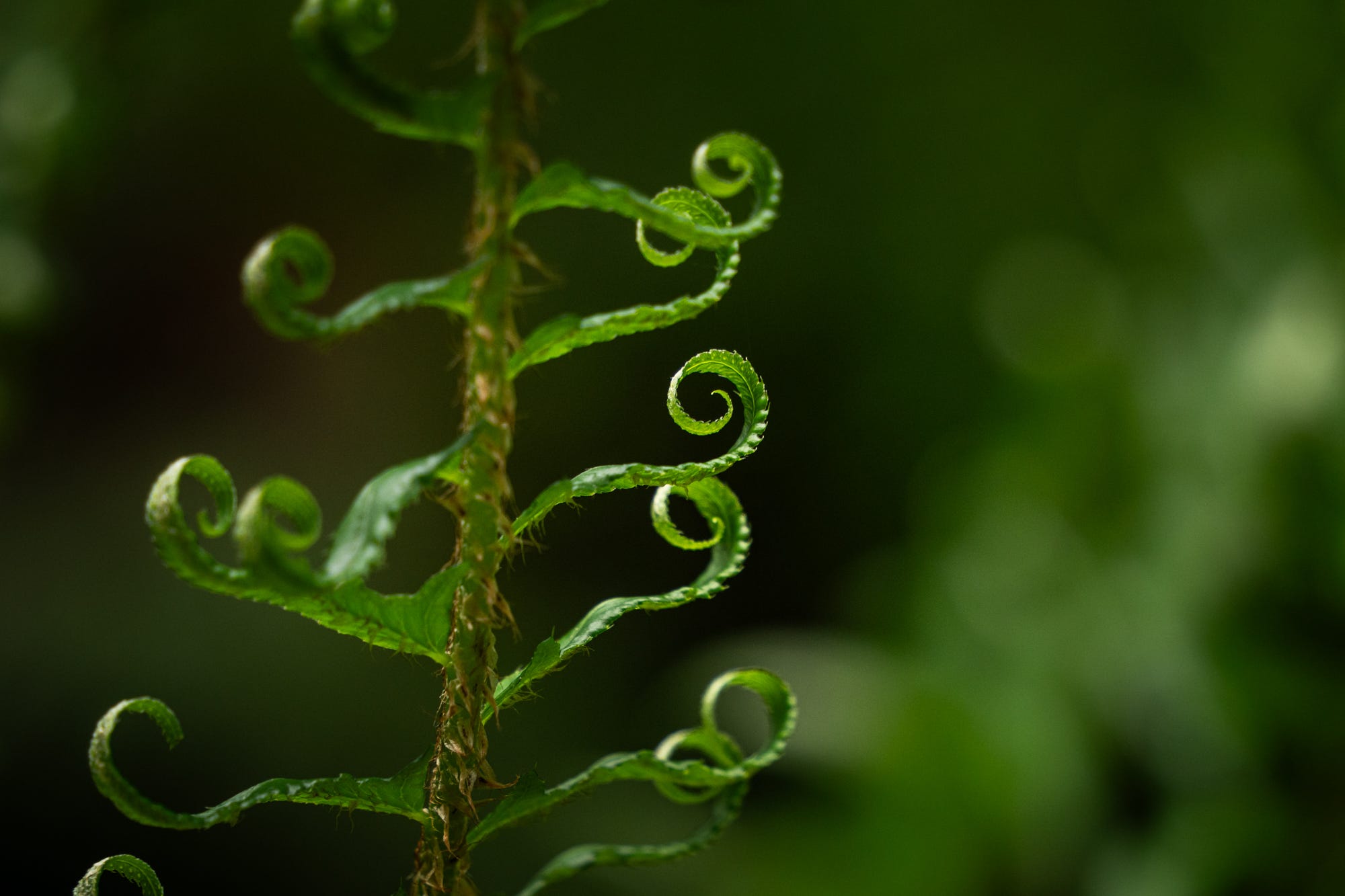 Favorite Moments of 2025 - Benjamin Williamson Photography