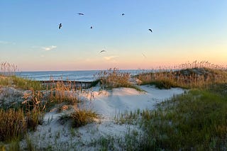 The Terrible, Beautiful Truth | McCall Erickson | Substack