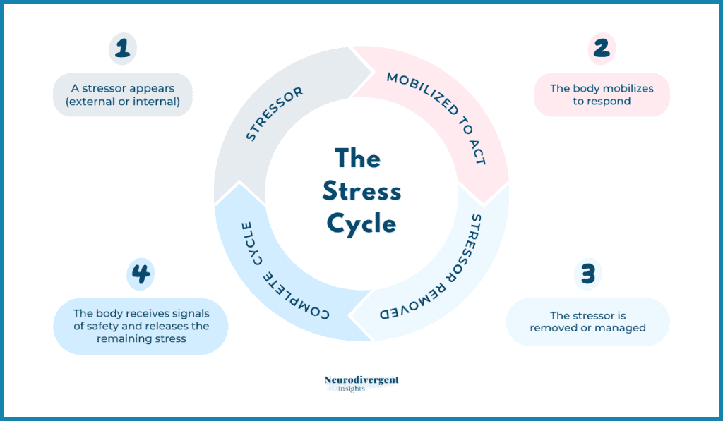 Completing The Stress Cycle - by Megan Anna Neff