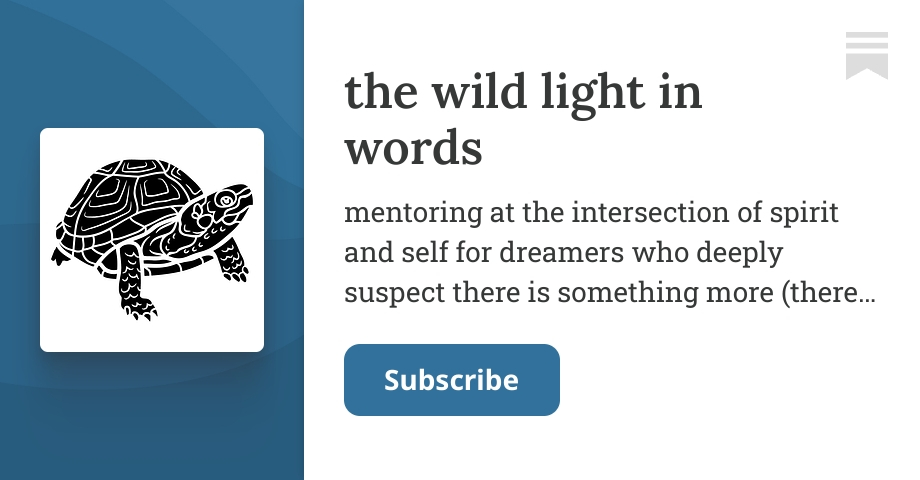 the wild light in words | Nicole | Substack