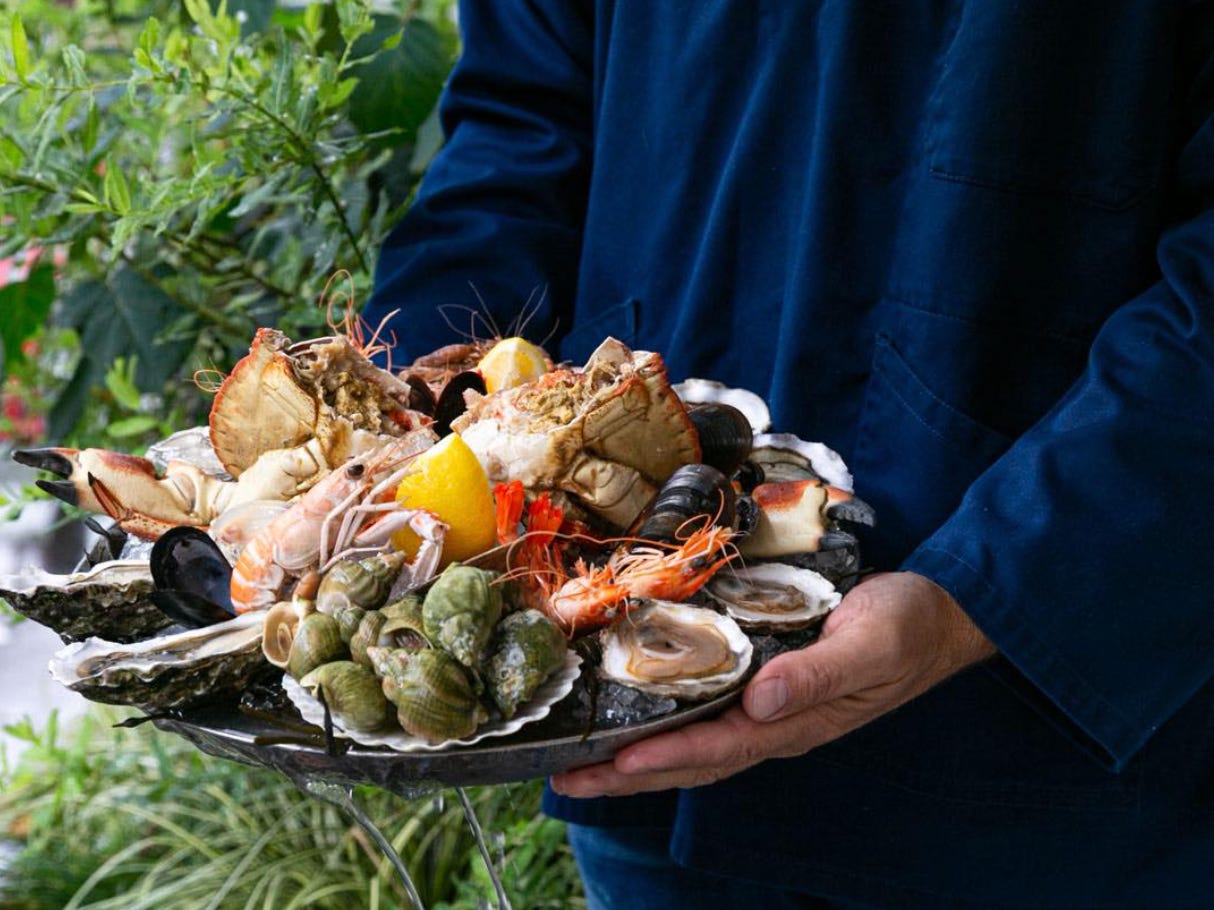 Great Seafood? Follow the Mussels: Spilled Milk #383
