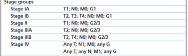 Grading in Soft Tissue Sarcomas - by Brian Schulte