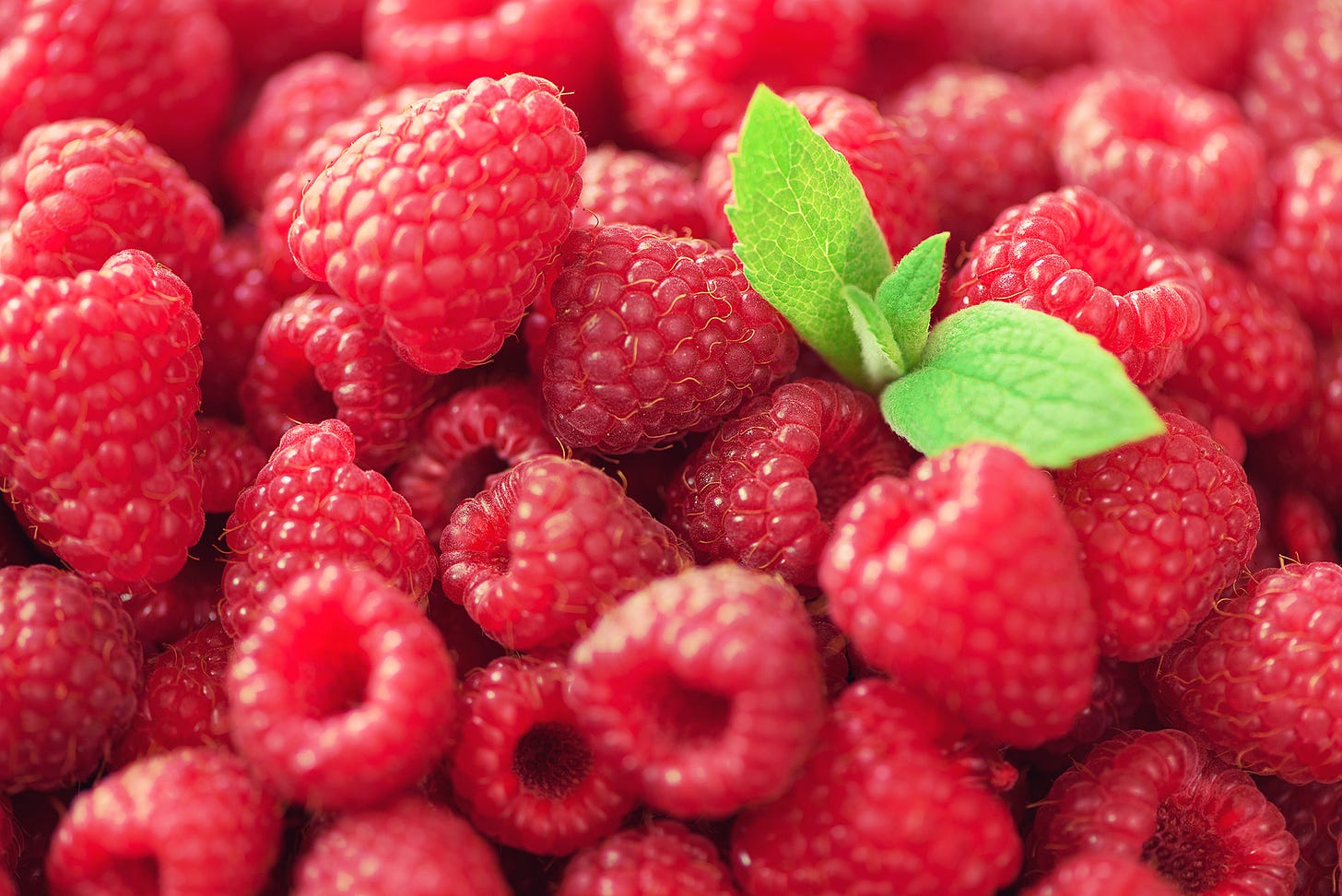 visual weight photography examples