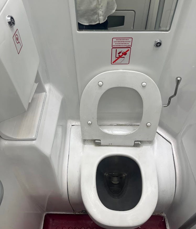 A preliminary inquiry into toilets - by Tisha Evite