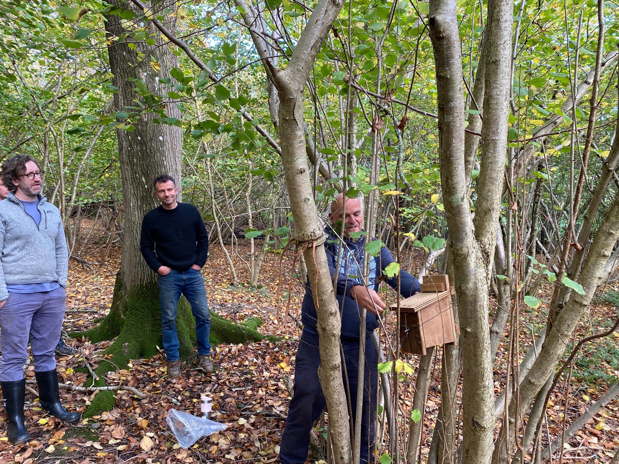 Wiston Wednesday, forestry students and what's in the boxes?