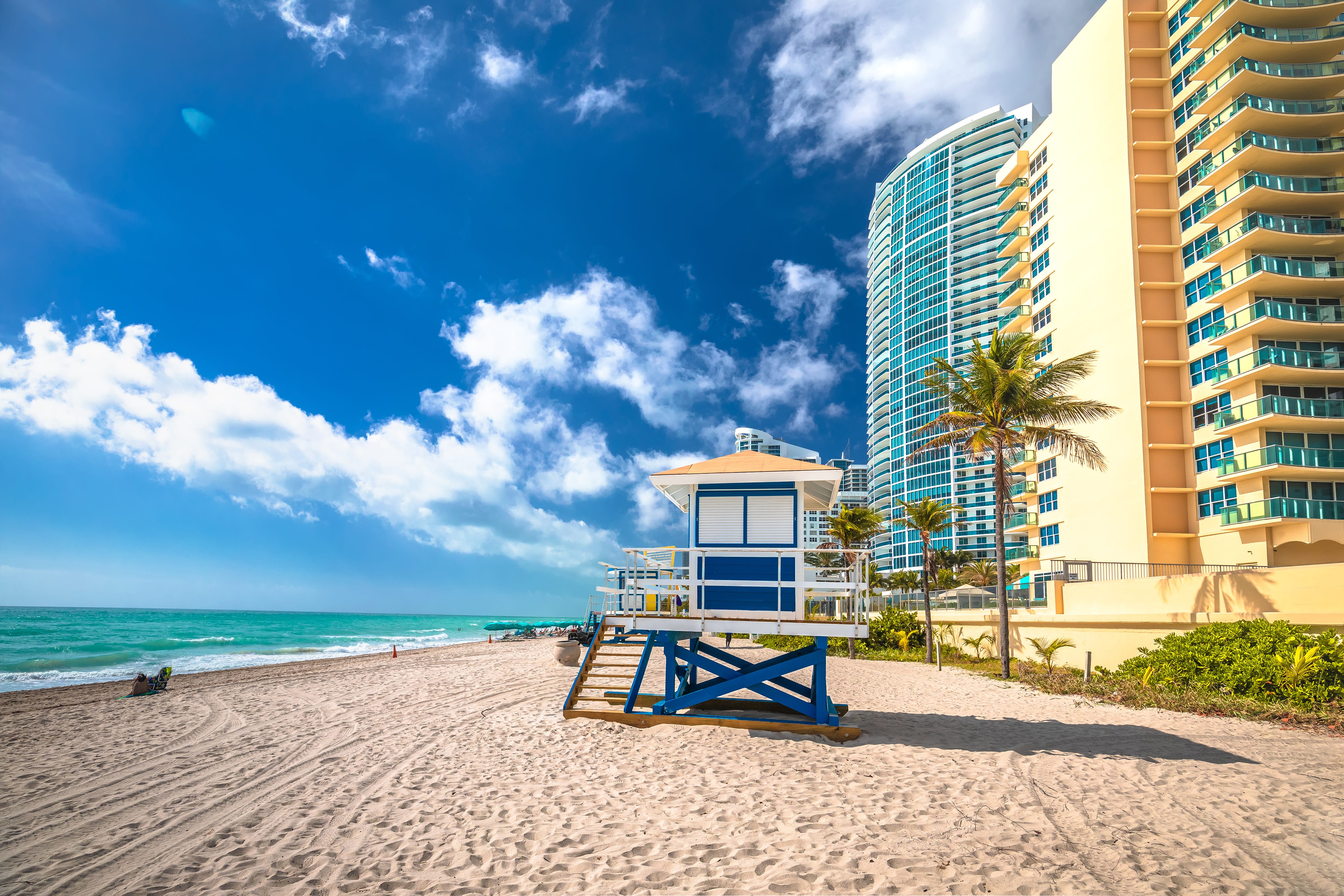Miami’s Mayoral Fight: Money, Migration, ICE and What’s at Stake for ...