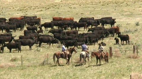 Range Wars in the US - by JScott MItchell