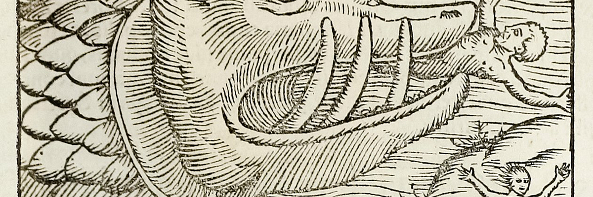 we be dragons substack