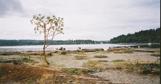 clementine ford substack