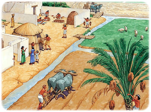 Horticultural Societies Are Those In Which People