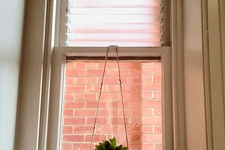 helen hayward home work | Substack