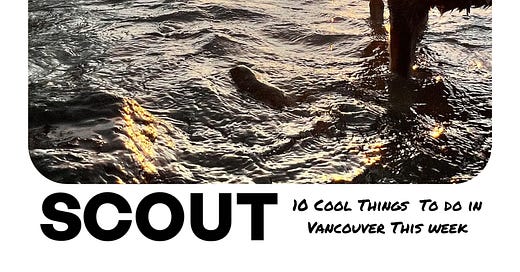 Scout Magazine | Michelle Sproule | Substack