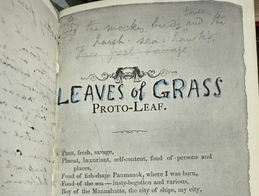 Noted | Jillian Hess | Substack