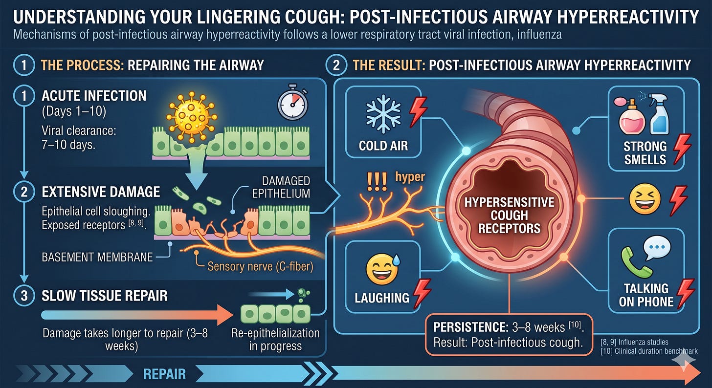 Is Bronchitis Contagious? A Pulmonologist Explains What Actually Spreads