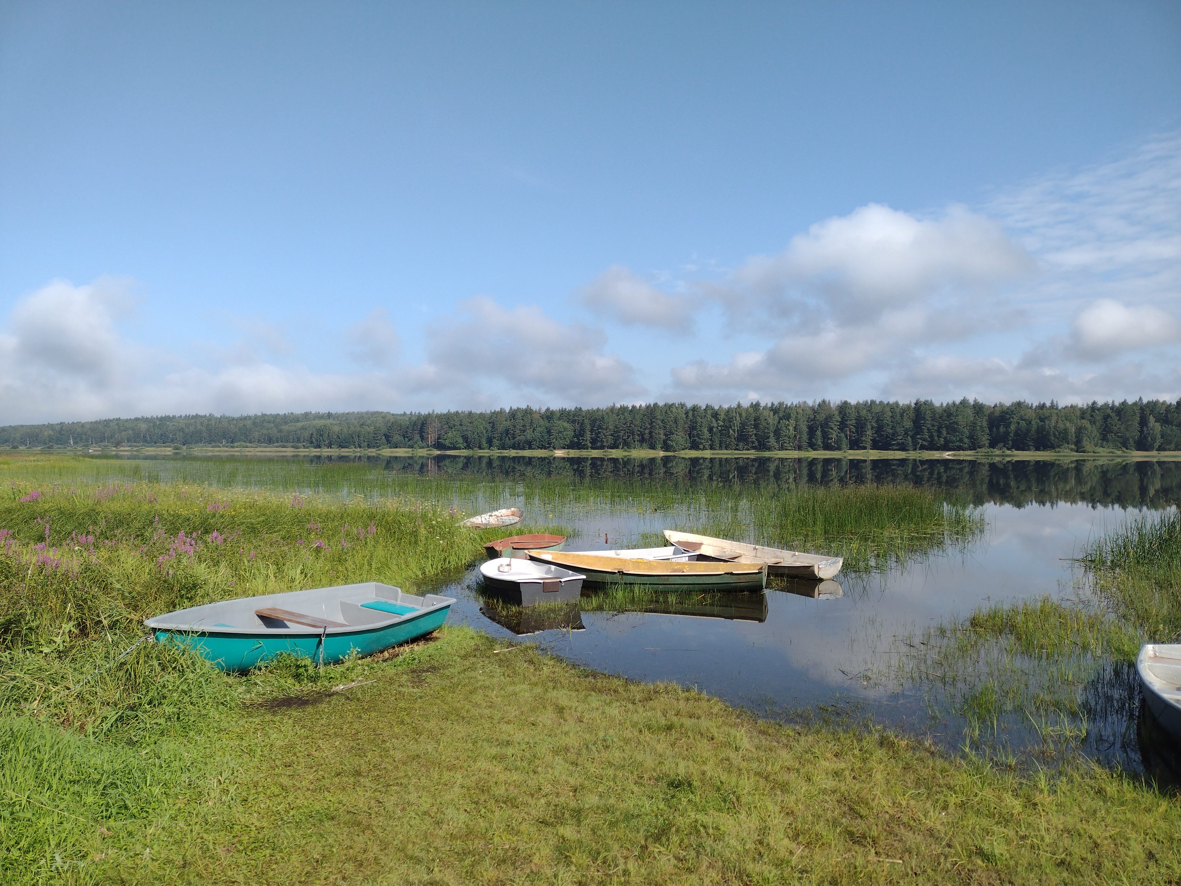 Russian Countryside Today - Cliodynamica by Peter Turchin