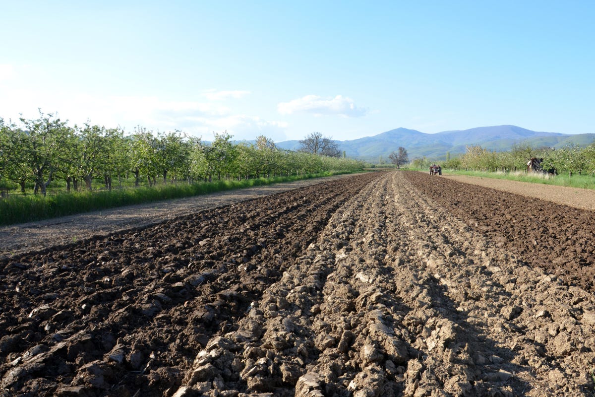 Coming Down to Earth with Barbara Brown Taylor | Substack