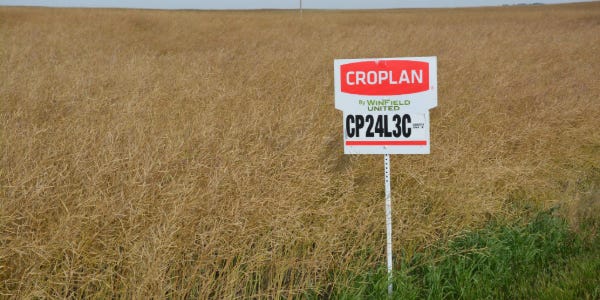 Big Farma: How the American Bread Industry is Knowingly Poisoning Millions