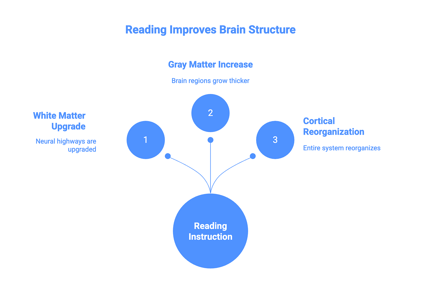 6 Ways Reading Changes Your Brain (backed by Brain Scans)