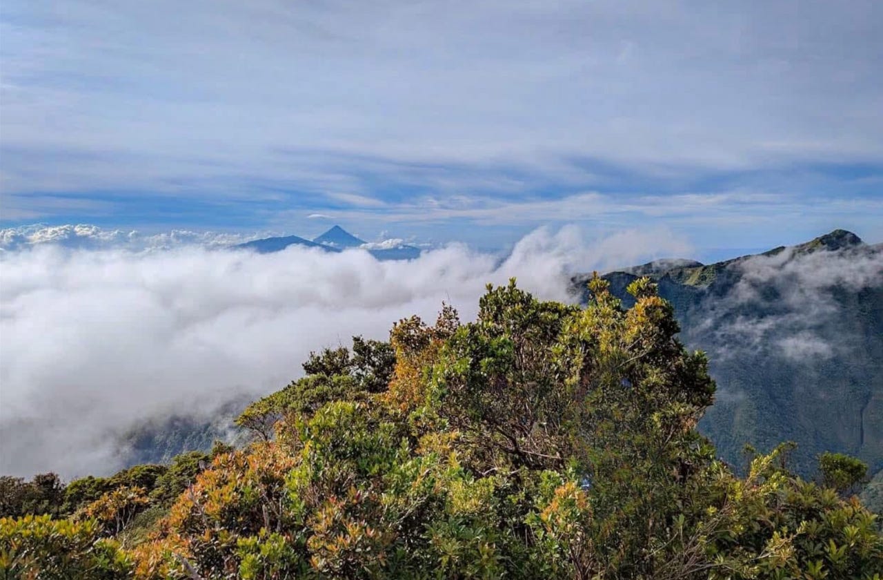 Mt. Isarog - by Arlyn D. Dadis - Discover Philippines