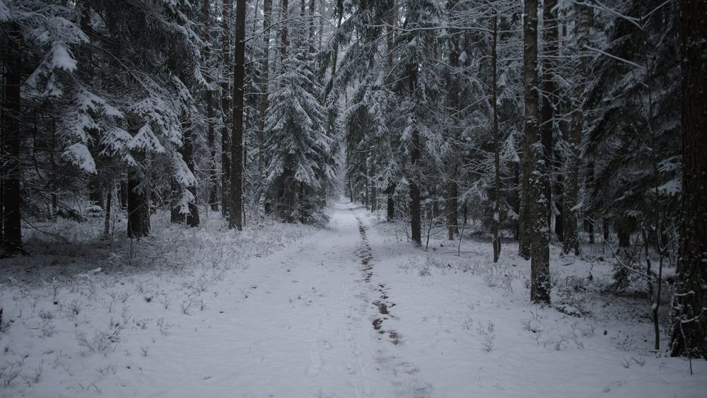 Record Snowfall Triggers Juneau Disaster