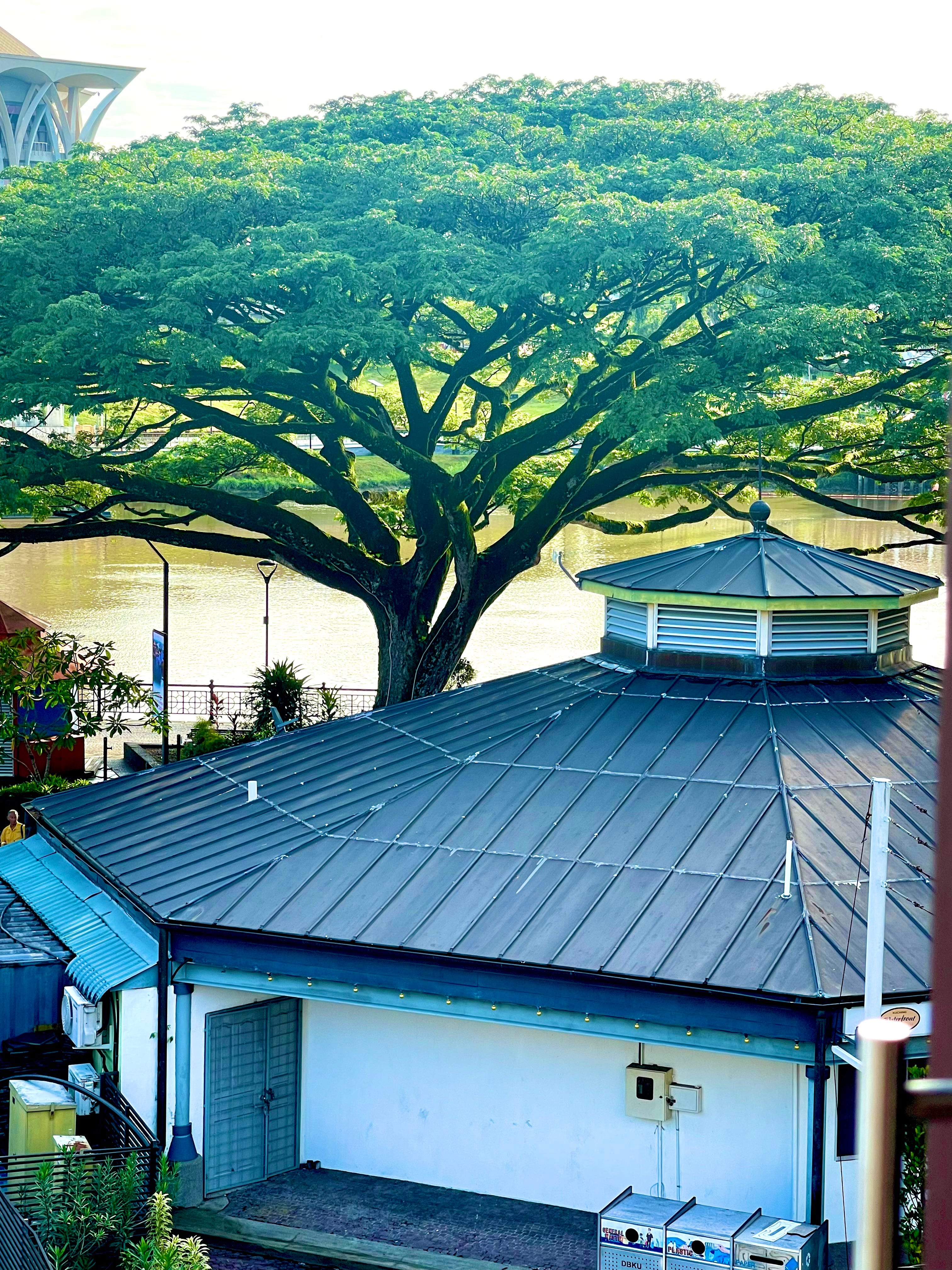 VFYW: A City With Nine Lives - by Chris Bodenner