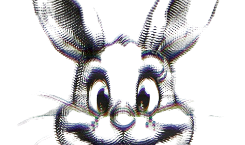 The White Rabbit | Kyree Anthony | Substack