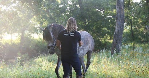 Curious Equestrian | Theresa | Substack