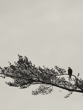 Cait Feldman | Substack