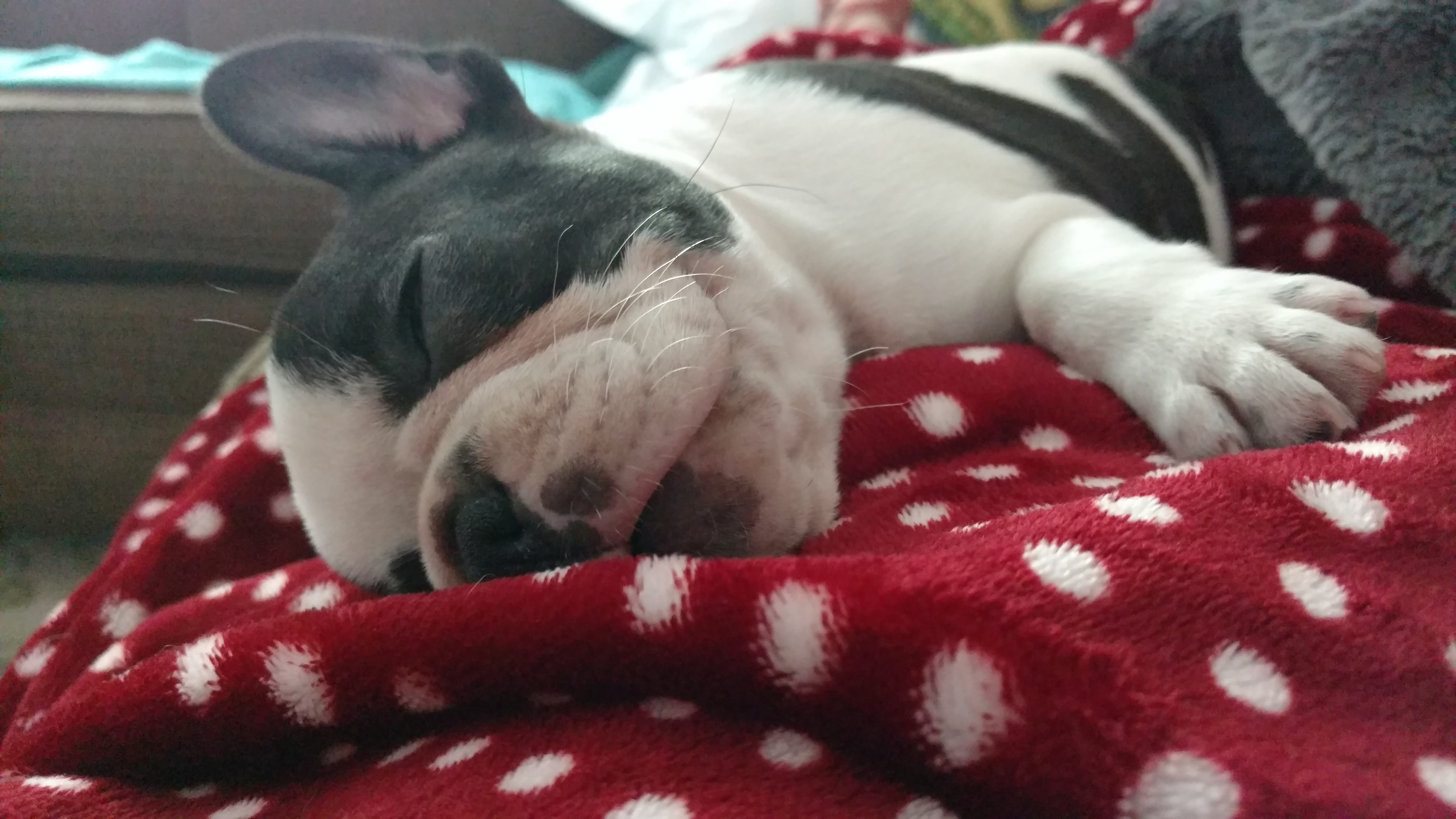 Nicole Knows | Nicole Cliffe | Substack