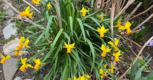 Zen Peacemakers | Substack